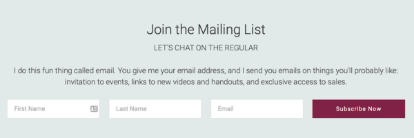 Why You Need to Build an Email List Right Now - Lindsey Elmore